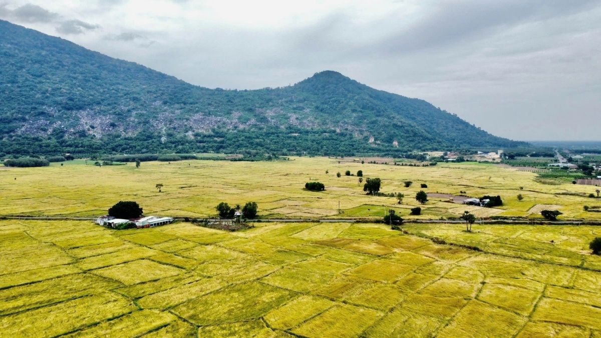 Top 50+ ảnh đẹp Tây Ninh ấn tượng, thu hút